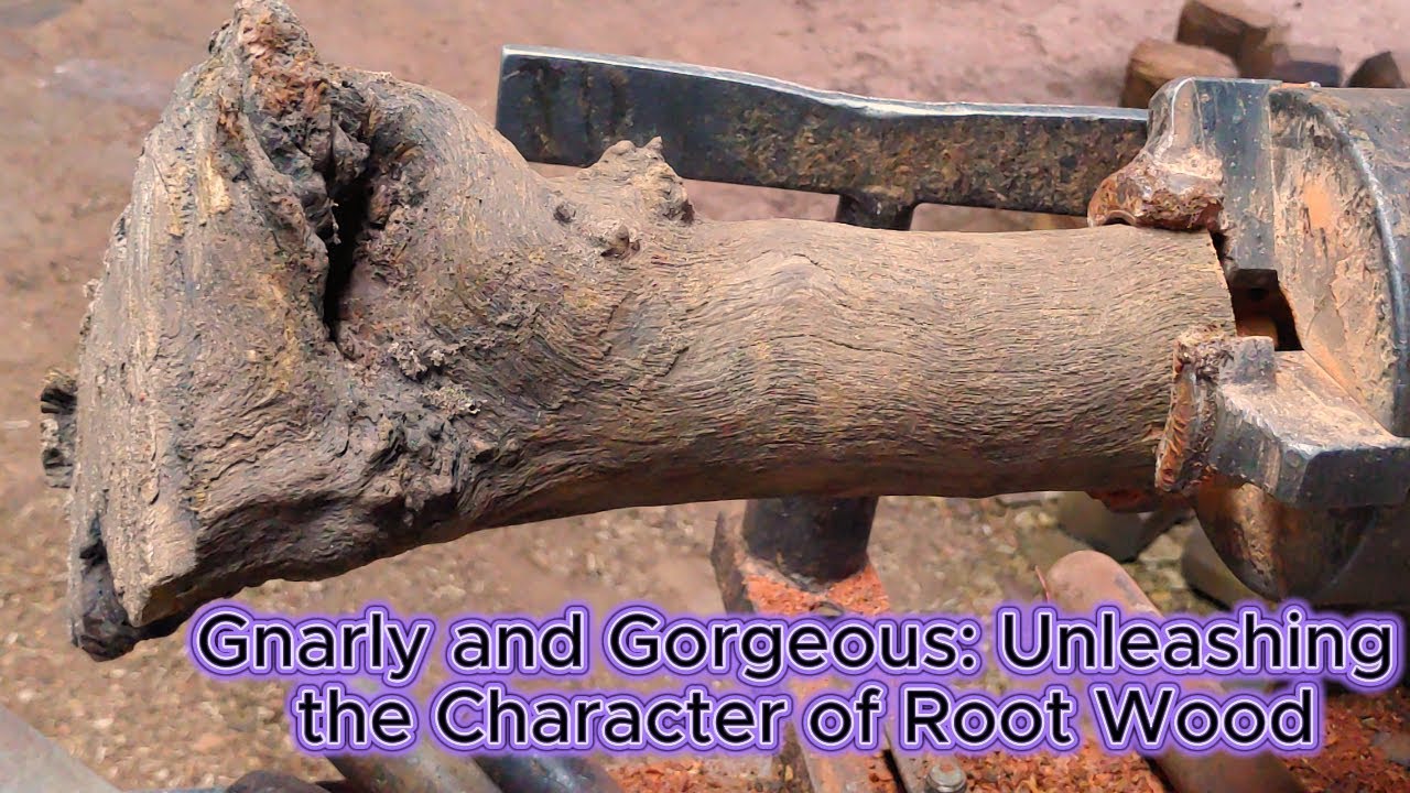Root Revelation: Exploring the Wild Grain of Root Wood - YouTube