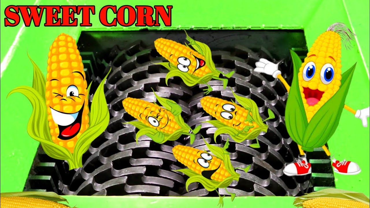 Shredding Some Exciting Item | Shredding Sweet Corn | Shredder Machine ...