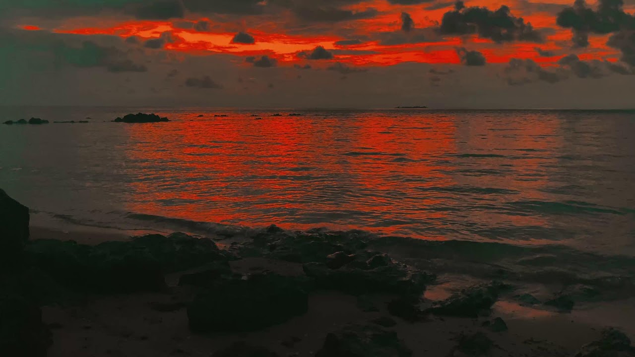 🔴 Ocean Waves for Deep Sleep | Waves Crashing on Beach at Night for ...
