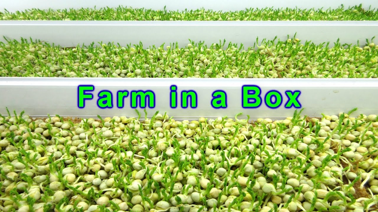 Farm in a Box - Grow Acres Worth of Food - YouTube