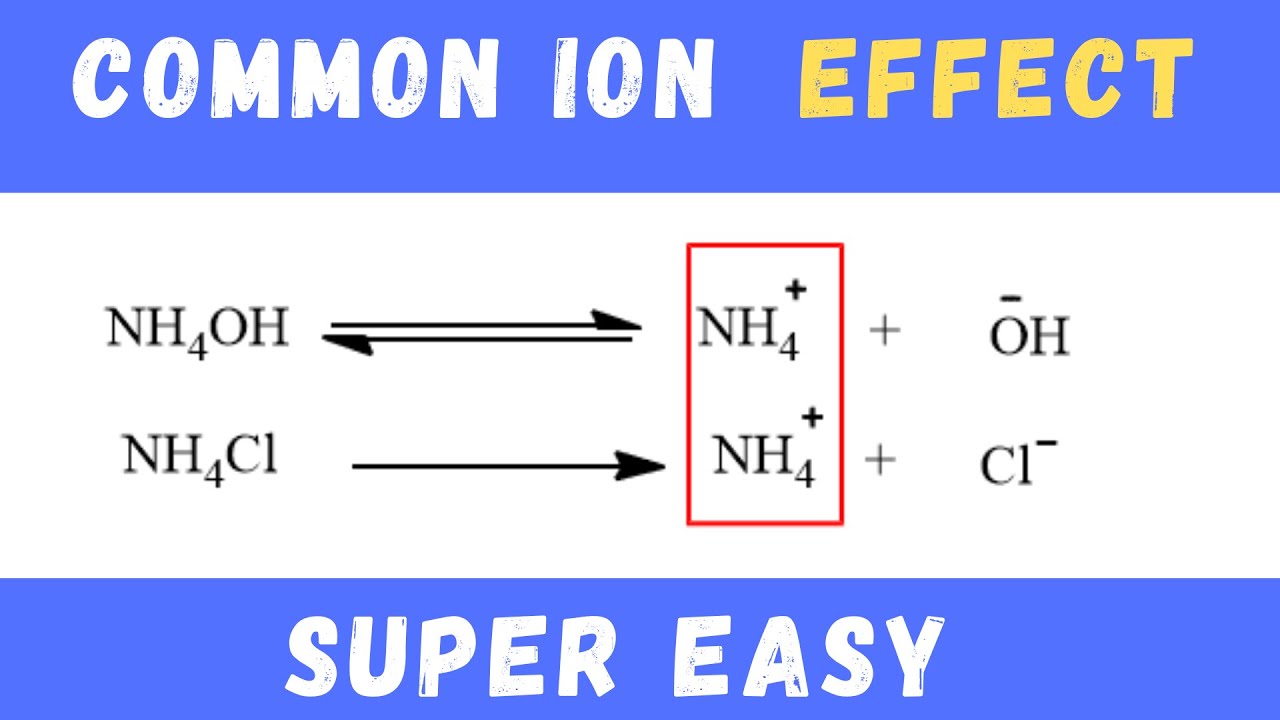 Common Ion Effect in Hindi - YouTube