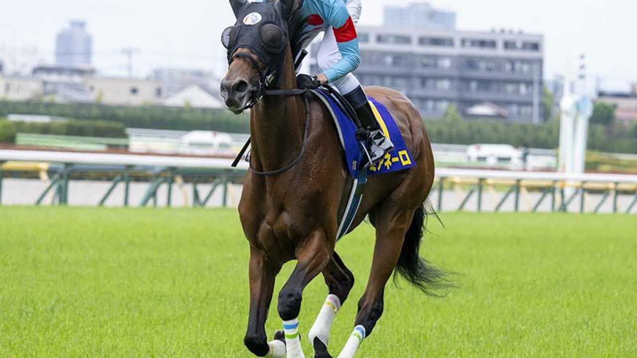 【ターコイズS2024】ROBOTIPの勝率予測 血統指数首位はミアネーロも、第2グループに穴馬2頭で波乱模様!?｜競馬ニュース｜競馬予想のウマニティ - YouTube