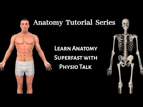 Anatomy Tutorial Series Introduction - YouTube
