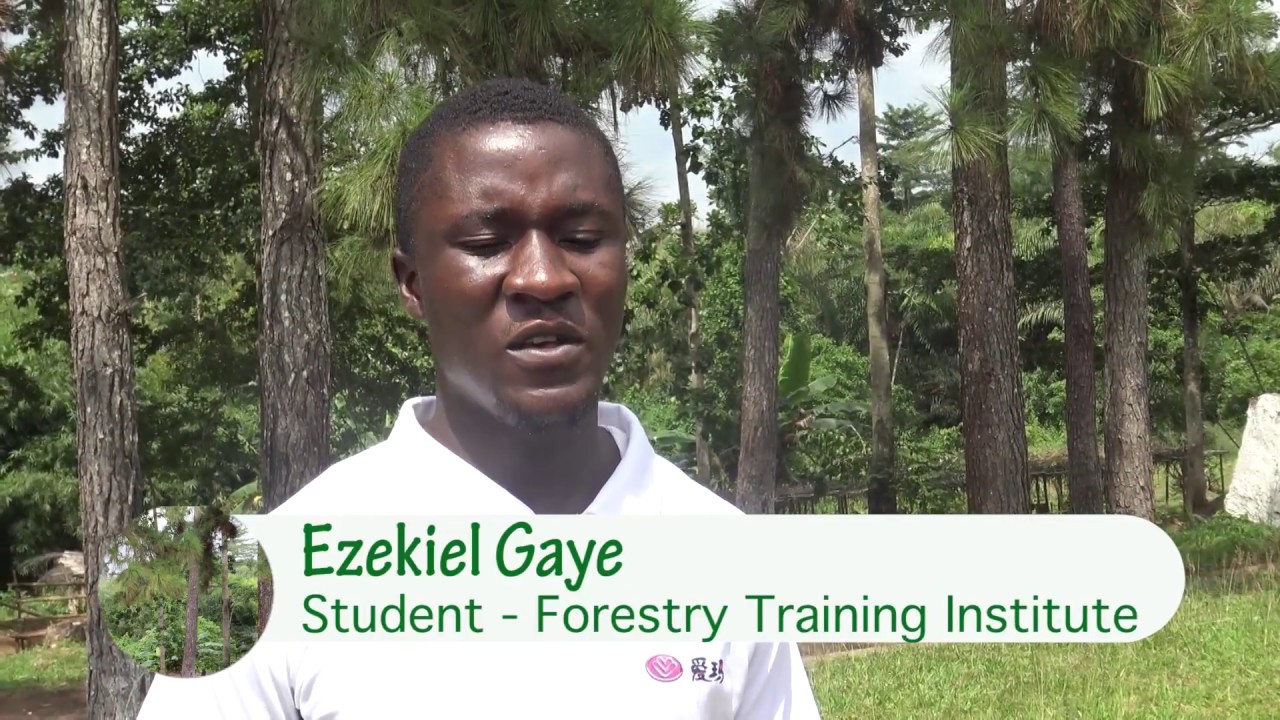 Forestry Training Institute - Liberia - YouTube