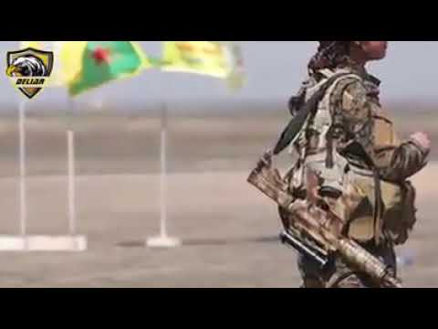 Ypg