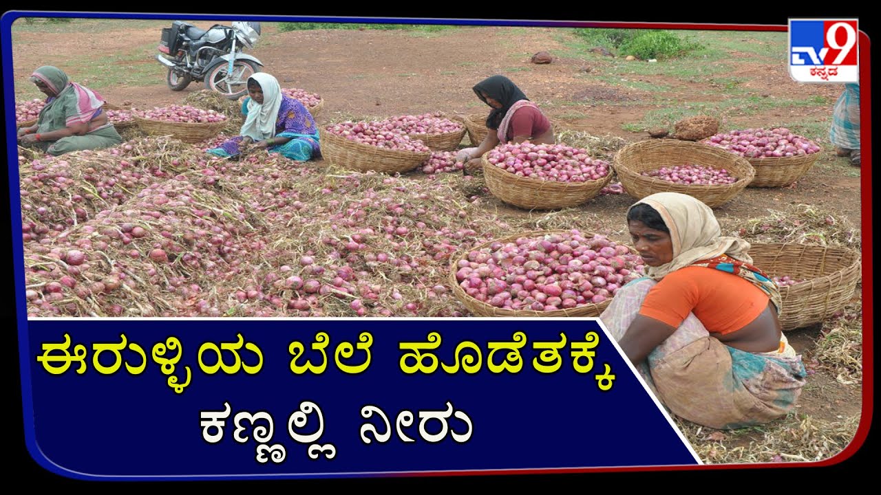 Onion Prices Bring Tears To Farmers And Consumers Due To Flood And Rain ...