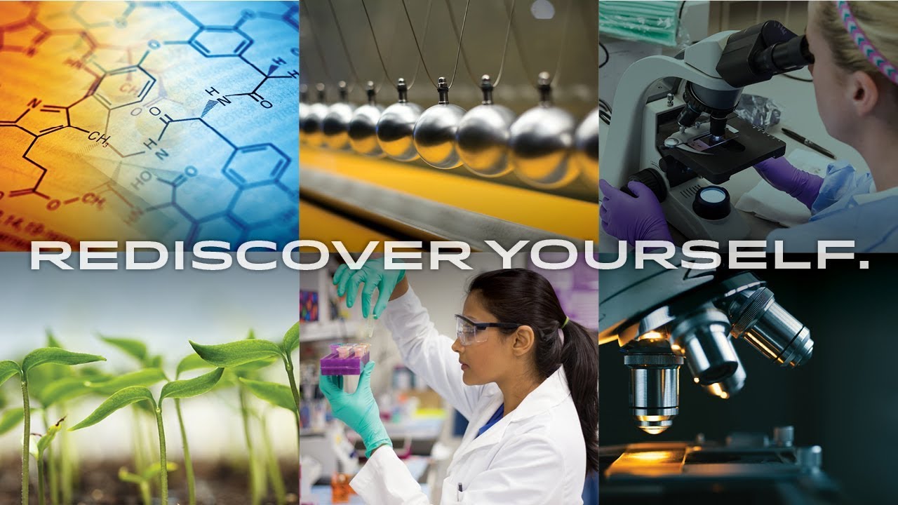 Rediscover Yourself with a Degree in Science - YouTube