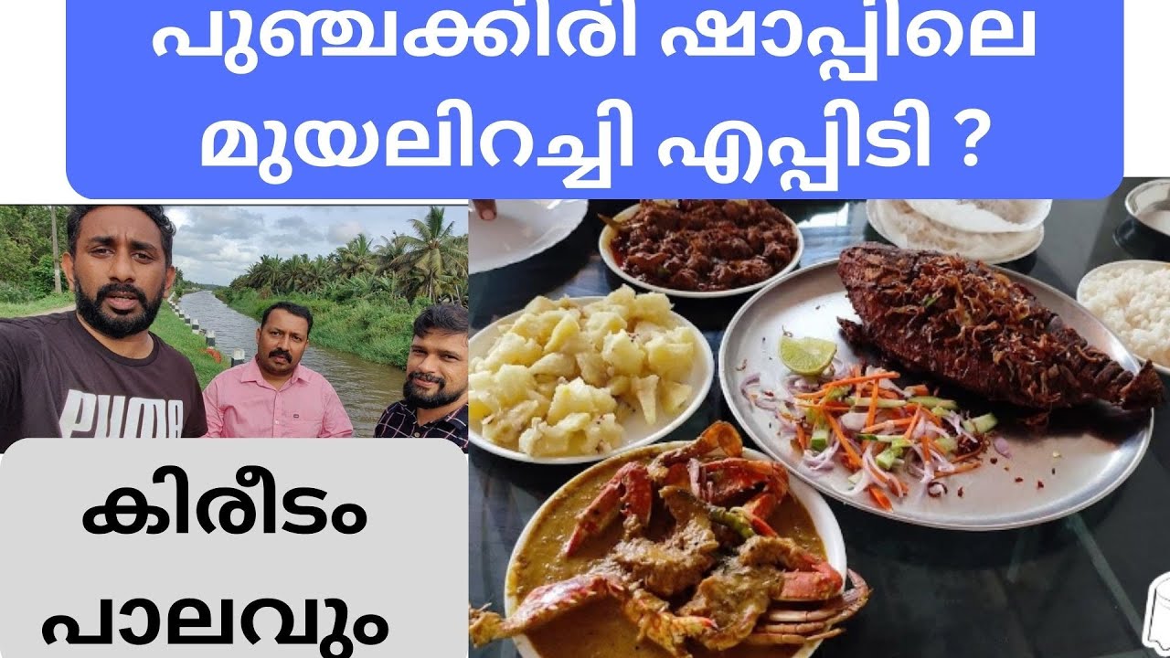 PUNCHAKKARI SHAP | പുഞ്ചക്കിരി ഷാപ്പിലെ മുയലിറച്ചി | ലാലേട്ടന്റെ കിരീടം ...