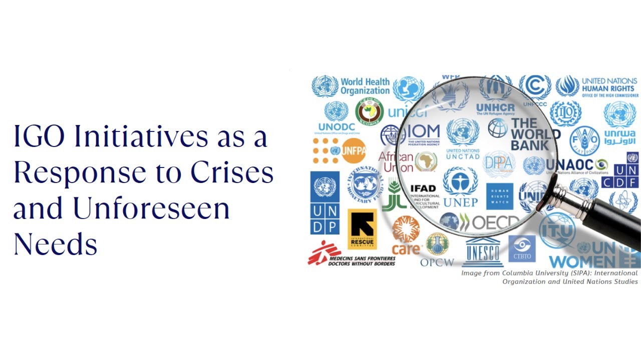 IGO Initiatives as a Response to Crises and Unforeseen Needs - YouTube