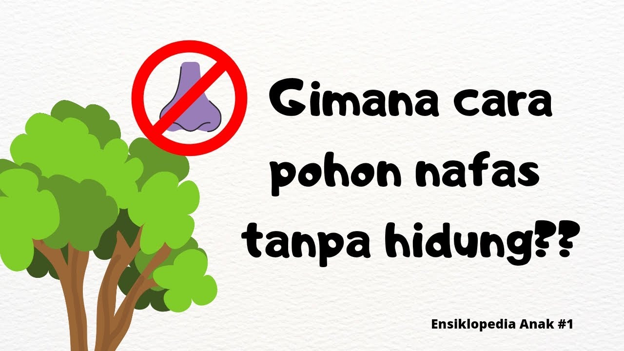 Bagaimana Tumbuhan Bernafas? (Ensiklopedia Anak #1) - YouTube