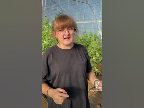 Сорт Королевич #семена #сад #дача #огород #семенаалтая - YouTube