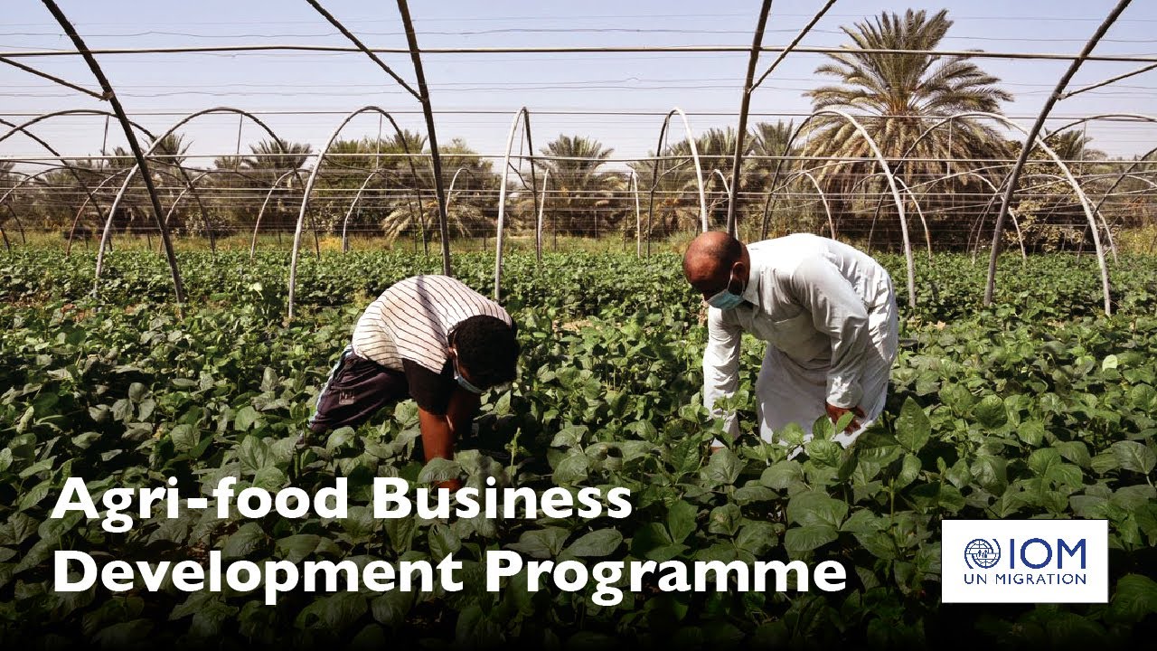 Agri-food Business Development Programme - YouTube