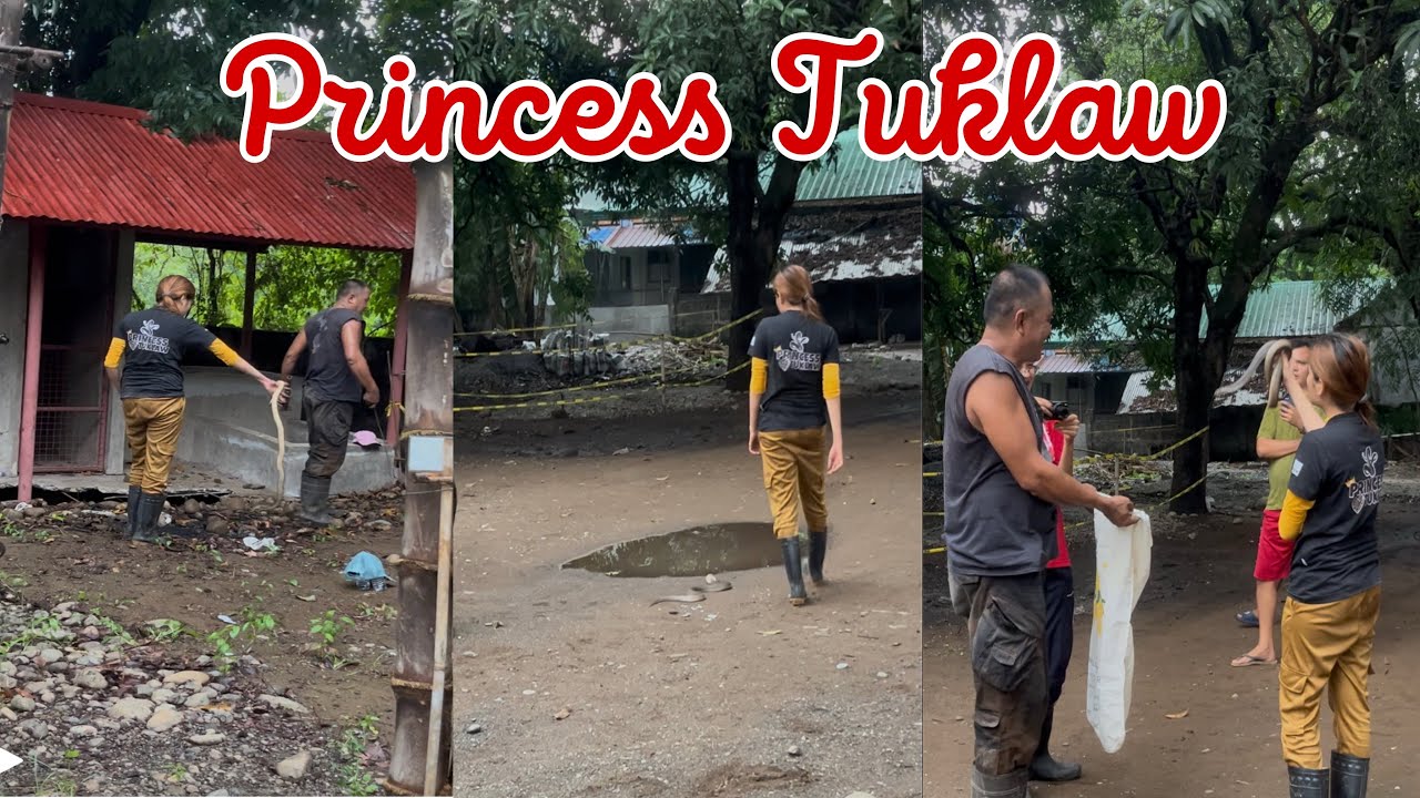 Princess Tuklaw nahuli ang Cobra - YouTube