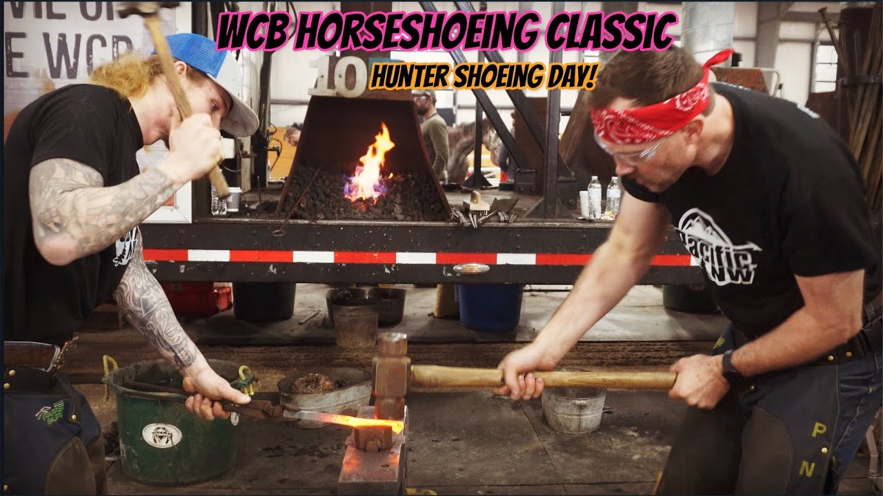 WCB Classic Traditional Hunter Style Horseshoeing Day-Tool and Fullered ...