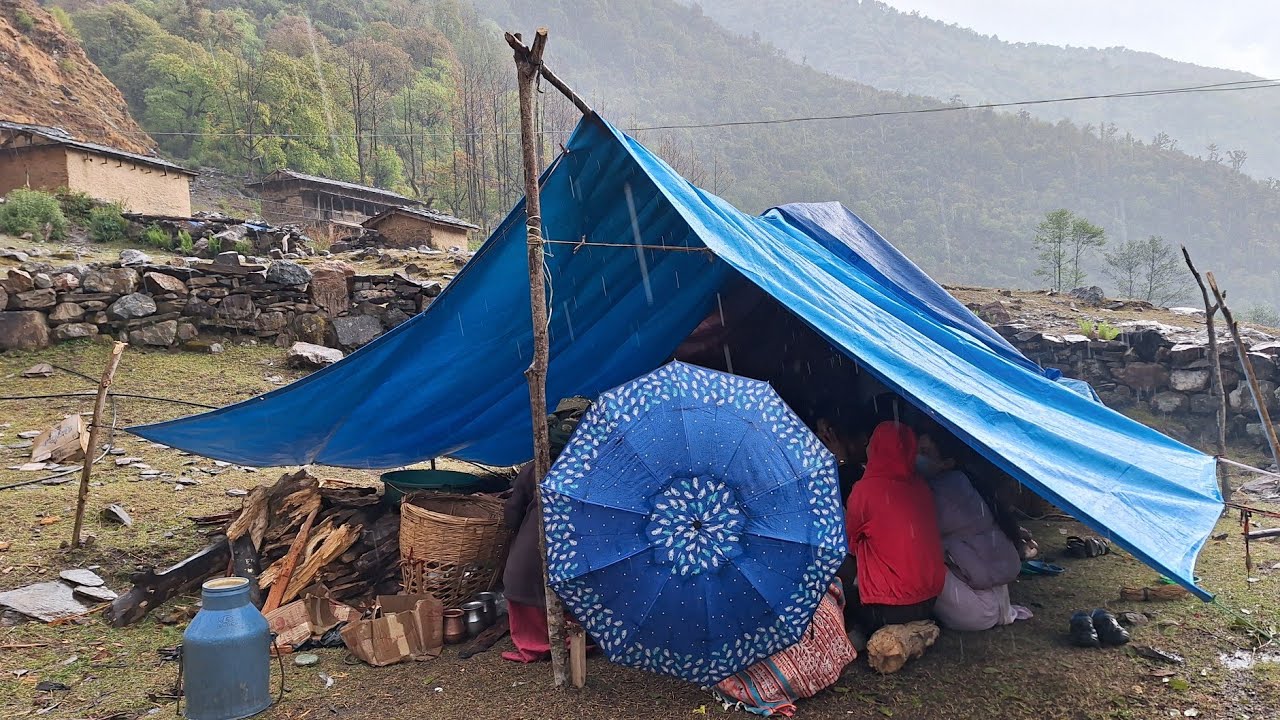 Nepali Human Life || Mountains Sheep Sherpherd Life || Villages Life ...