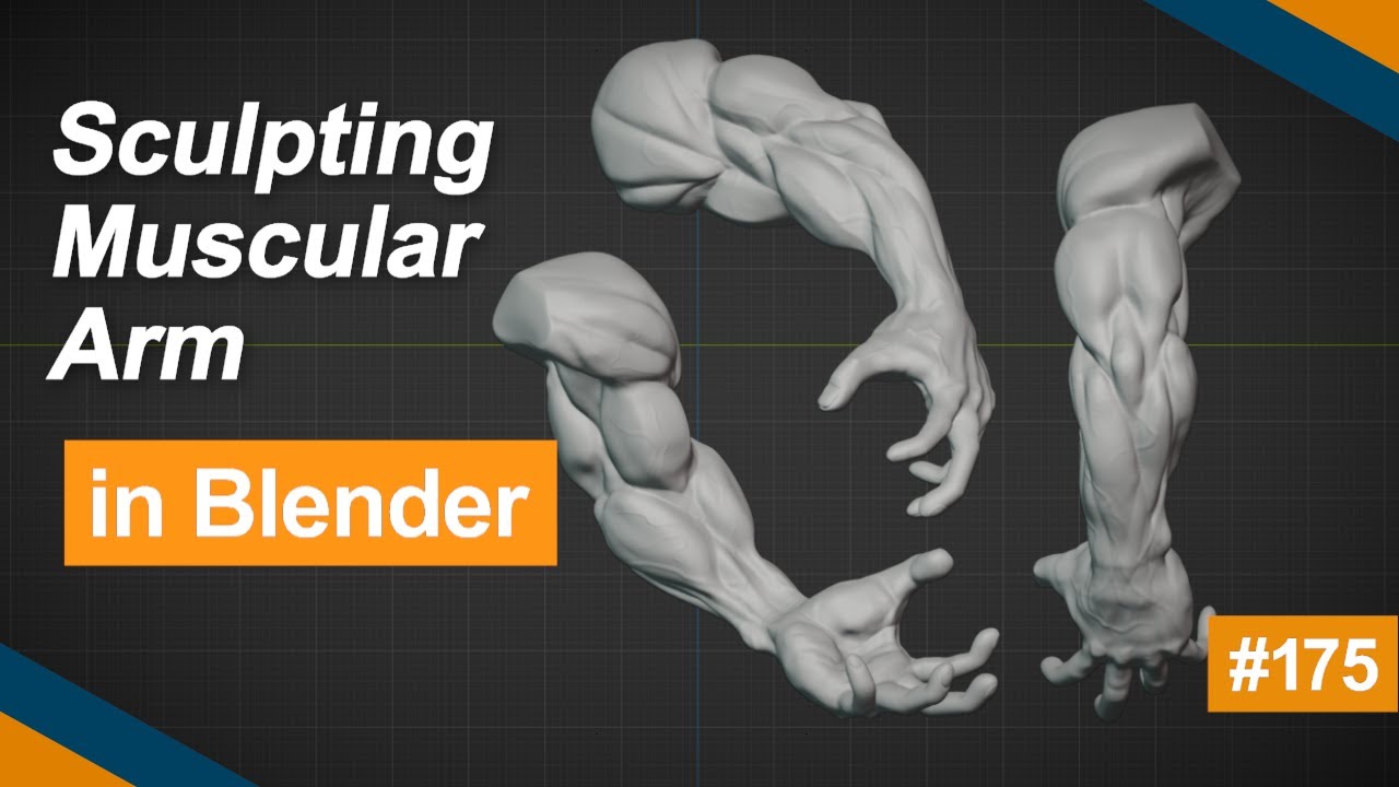 Sculpting Muscular Arm in blender - 175 - YouTube