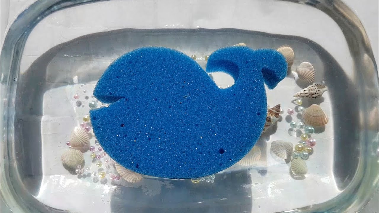 Wet whale sponge squeezing & ripping ASMR #sponge - YouTube