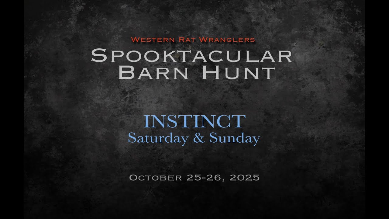 Barn Hunt - Instinct Trial,_Sat and Sun - YouTube