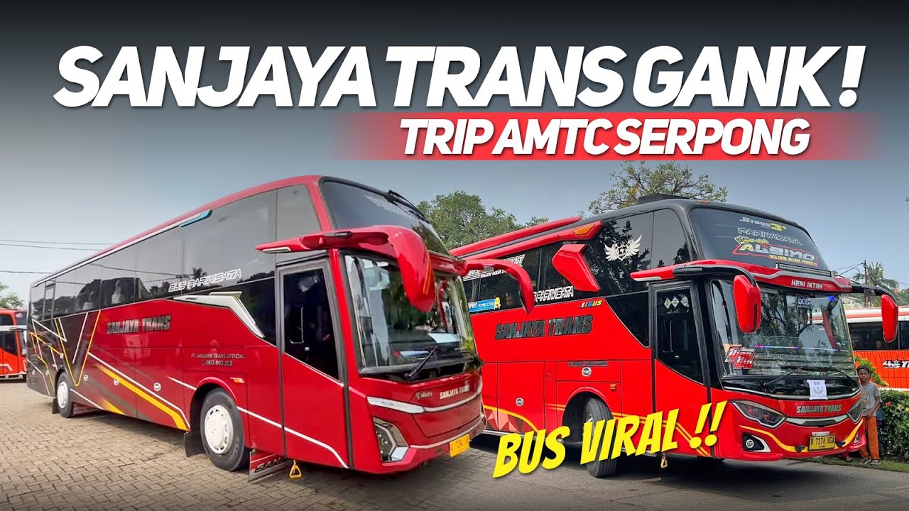 KETEMU BUS VIRAL‼️SANJAYA TRANS ALBINO X MARVEL X LEMON TEA TRIP AMTC ...