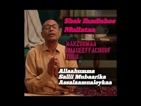 New Manzuuma shek Fandishee mullataa 2026 Allaahummasalli Alaa Muhammadii mubarika Assalaamualeykaa