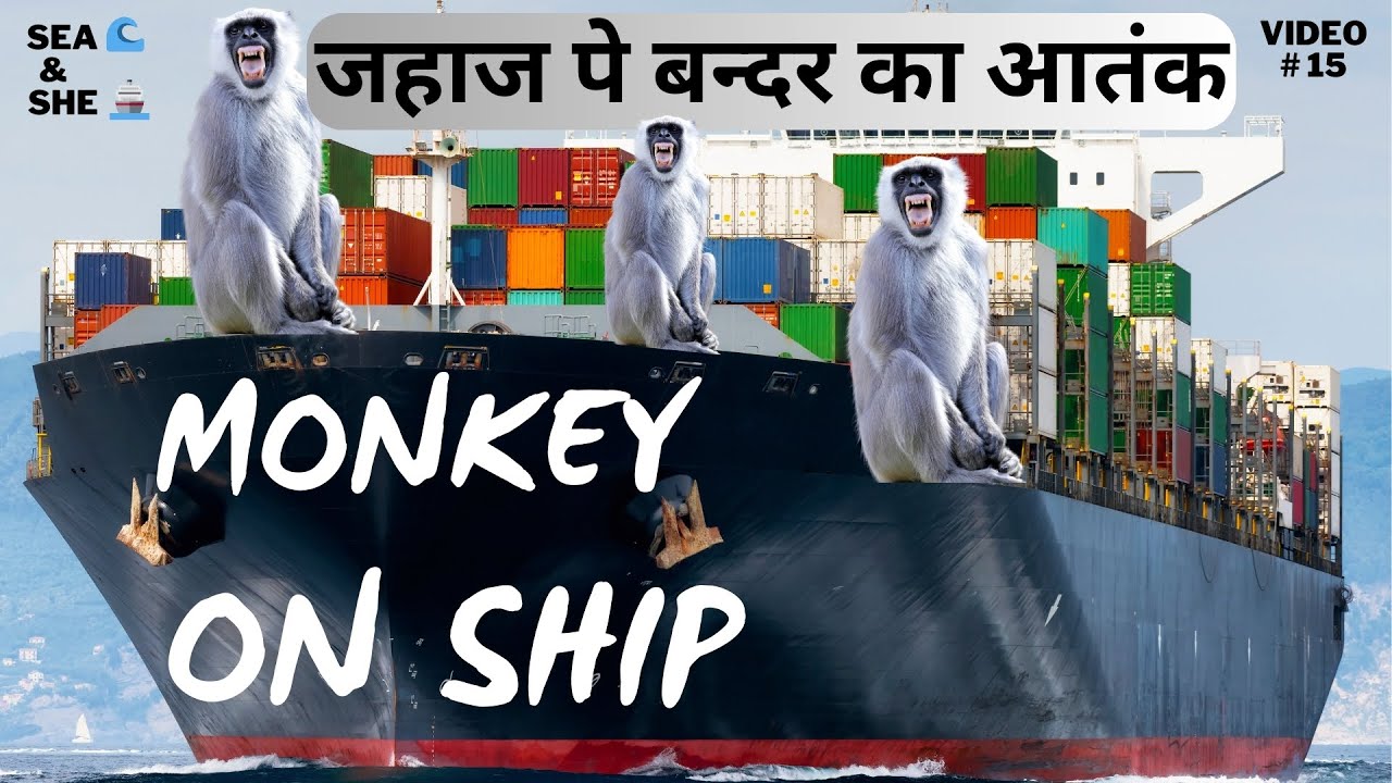 SEA 🌊 & SHE 🚢 || Monkey On Ship - जहाज पे बन्दर का आतंक || JPC VLOGS ...