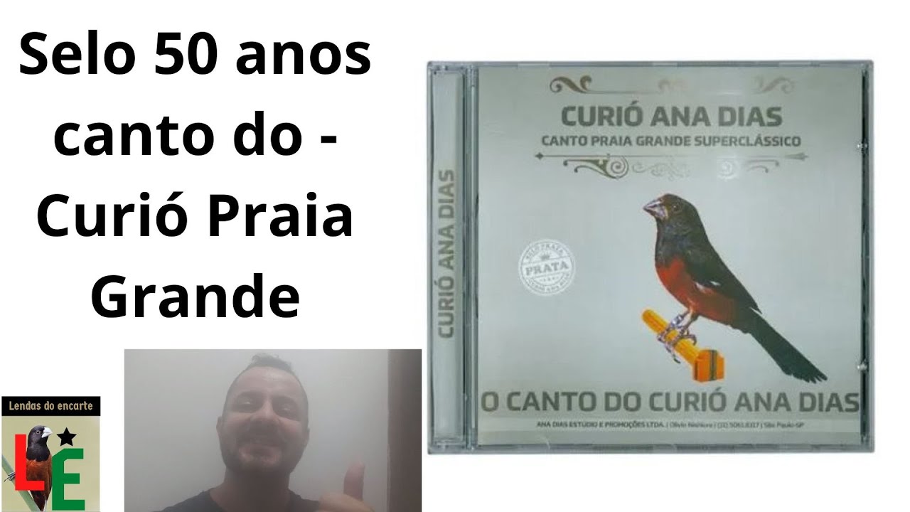 Selo 50 anos canto do Curió Praia Grande clássico para encarte de ...