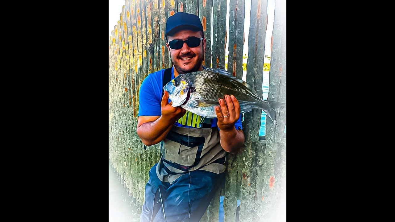 PÊCHE DU BORD: grosse daurade royale magnifique! - YouTube