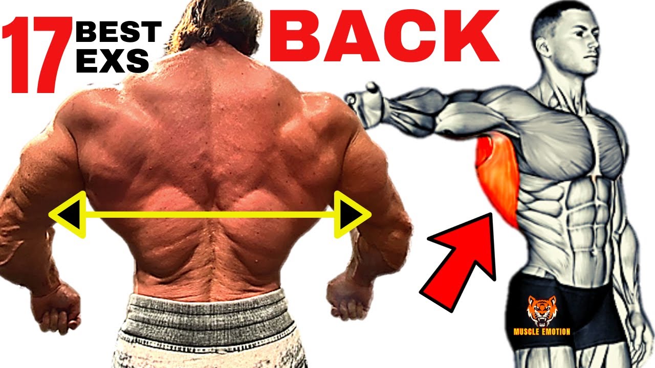 17 BEST BACK EXERCISES TO GET BIGGER BACK FAST - YouTube