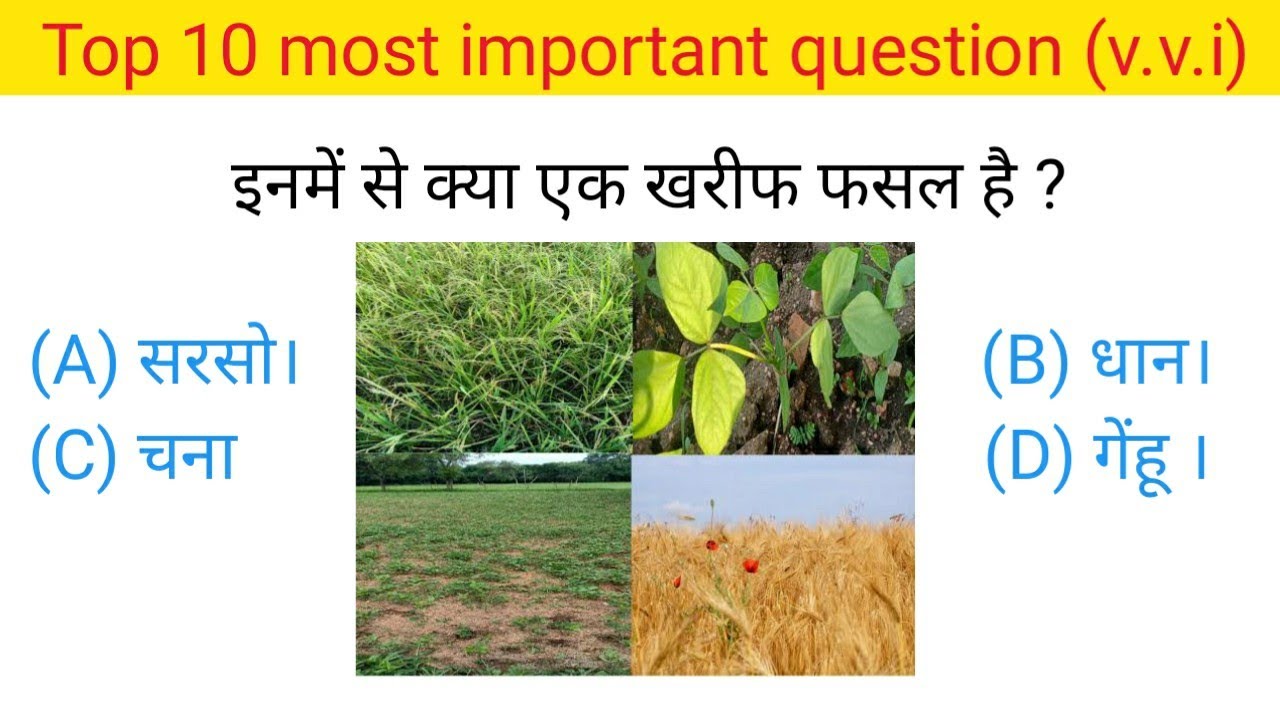 Gk।।gk questions in Hindi।।gk quiz।@gk important questions।gk topics।gk ...