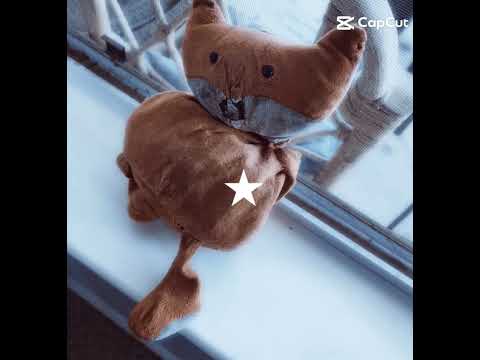 this is my friends stuffy! #funny #helpmemakethismakesense - YouTube