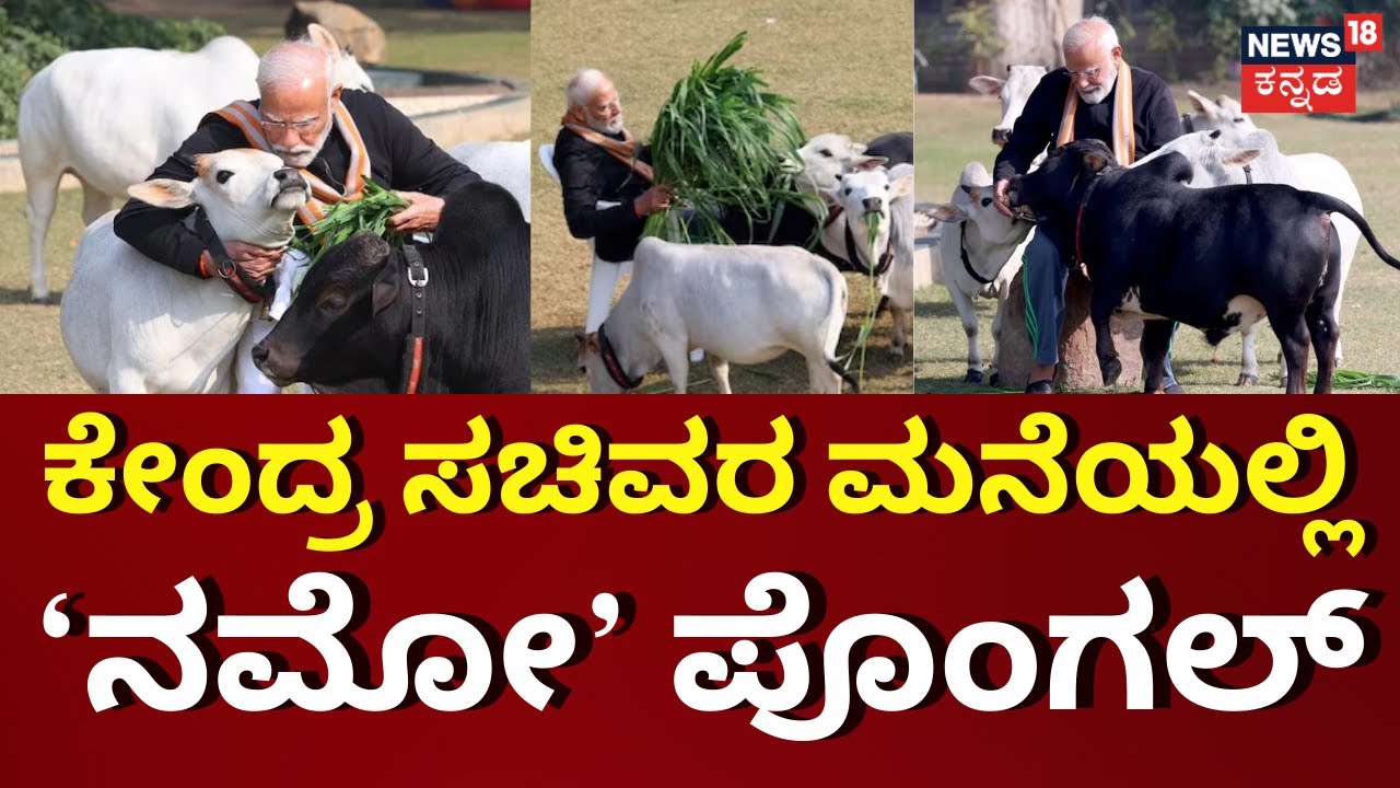 PM Modi Feeds Cows At His Residence | ಸತ್ಯಂ ಶಿವಂ ಸುಂದರಂ ಹಾಡಿಗೆ ತಲೆದೂಗಿದ ...