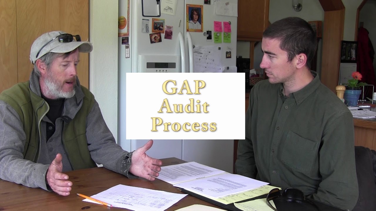 The Internal GAP Audit Overview - YouTube