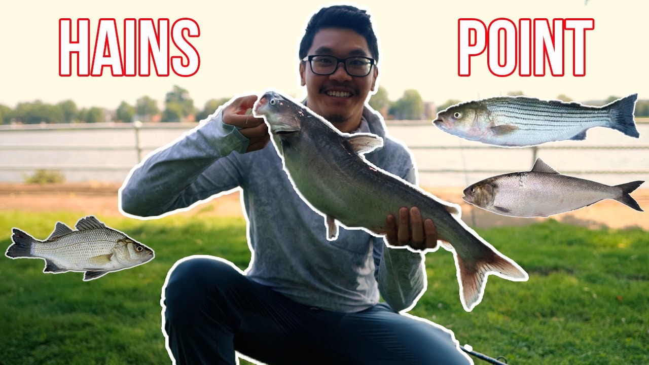 Fishing Hains Point (East Potomac Park) | DC (Rockfish, Catfish, White ...