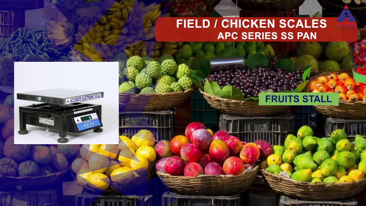 No-1 Chicken Weighing Scales|Field Scales|SS Model-50/100Kg| Accurate ...