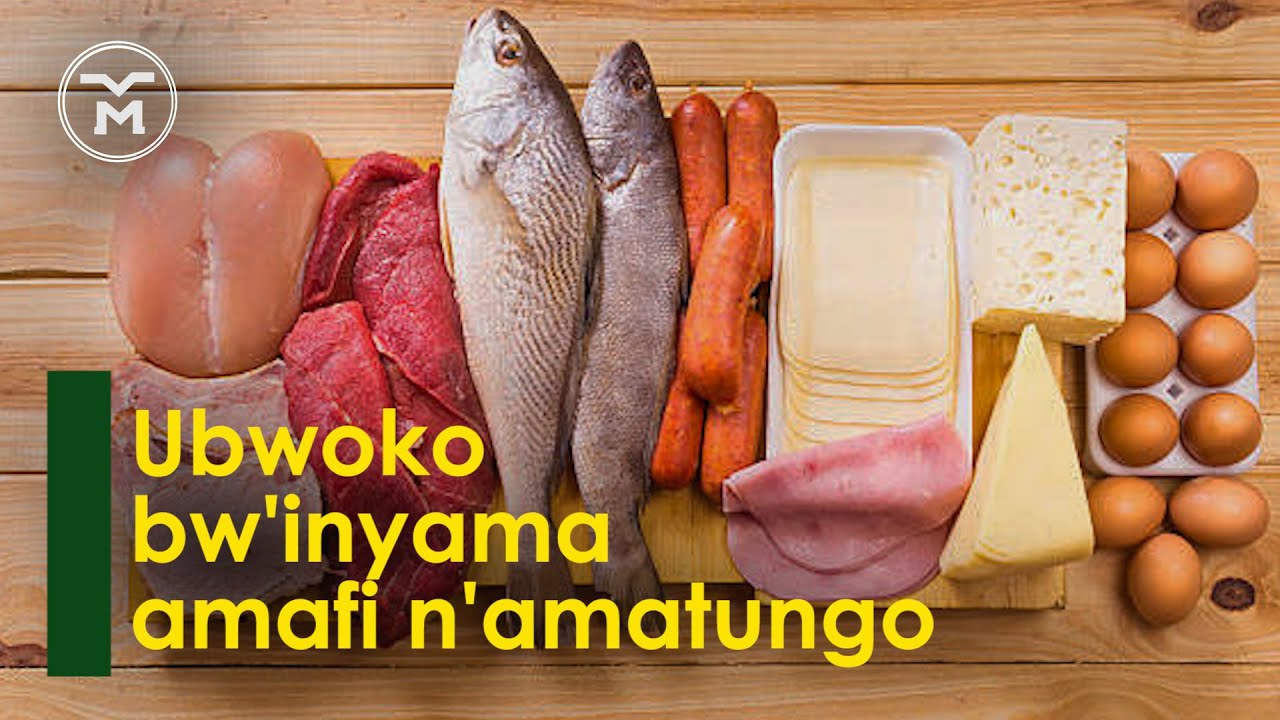 00050: INYAMA ZAMATUNGO || IZO MUNYANJA || AKAMARO KAZO KUBUZIMA ...