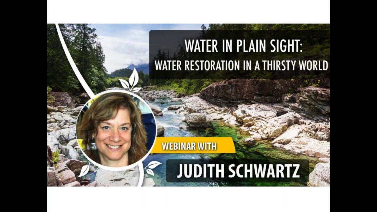 Judith Schwartz: Water in Plain Sight - YouTube