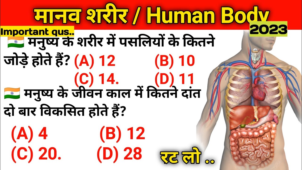 Human Body Important Questions मानव शरीर Gk Manav Sharir Science GK ...