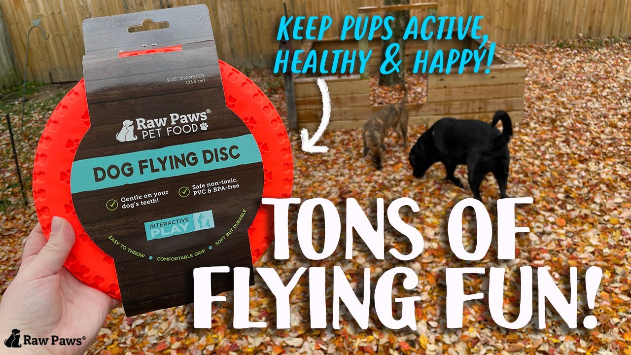 Flexible & Soft Rubber Frisbee! Raw Paws Pet Food - YouTube