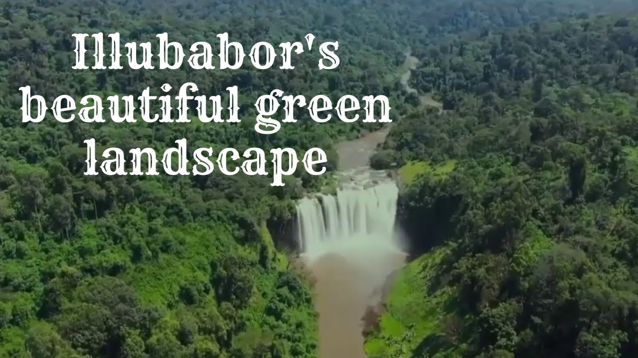 Illubabor The magnificent natural forest with Ethiopian Instrumental ...