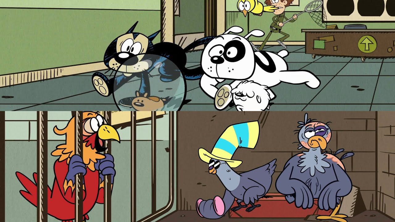 L Analysis: The Loud House Pets Peeved Vs The Casagrandes Just Be Coo ...