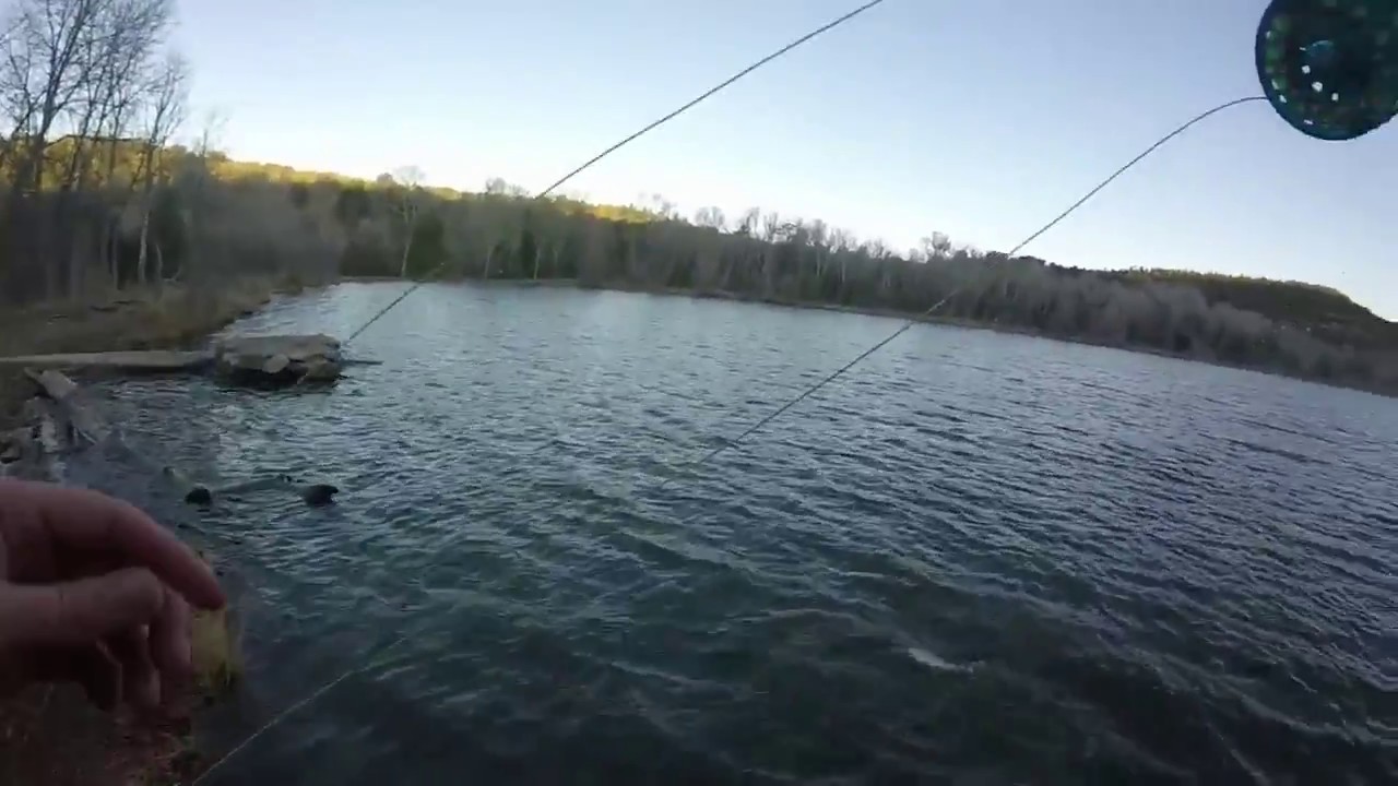 Spring lake fishing in NM - YouTube