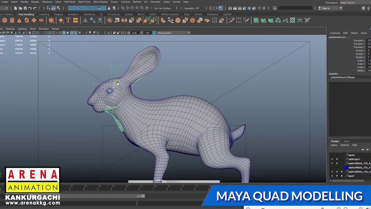 Maya Quad Modelling | Arena Animation Kankurgachi - YouTube