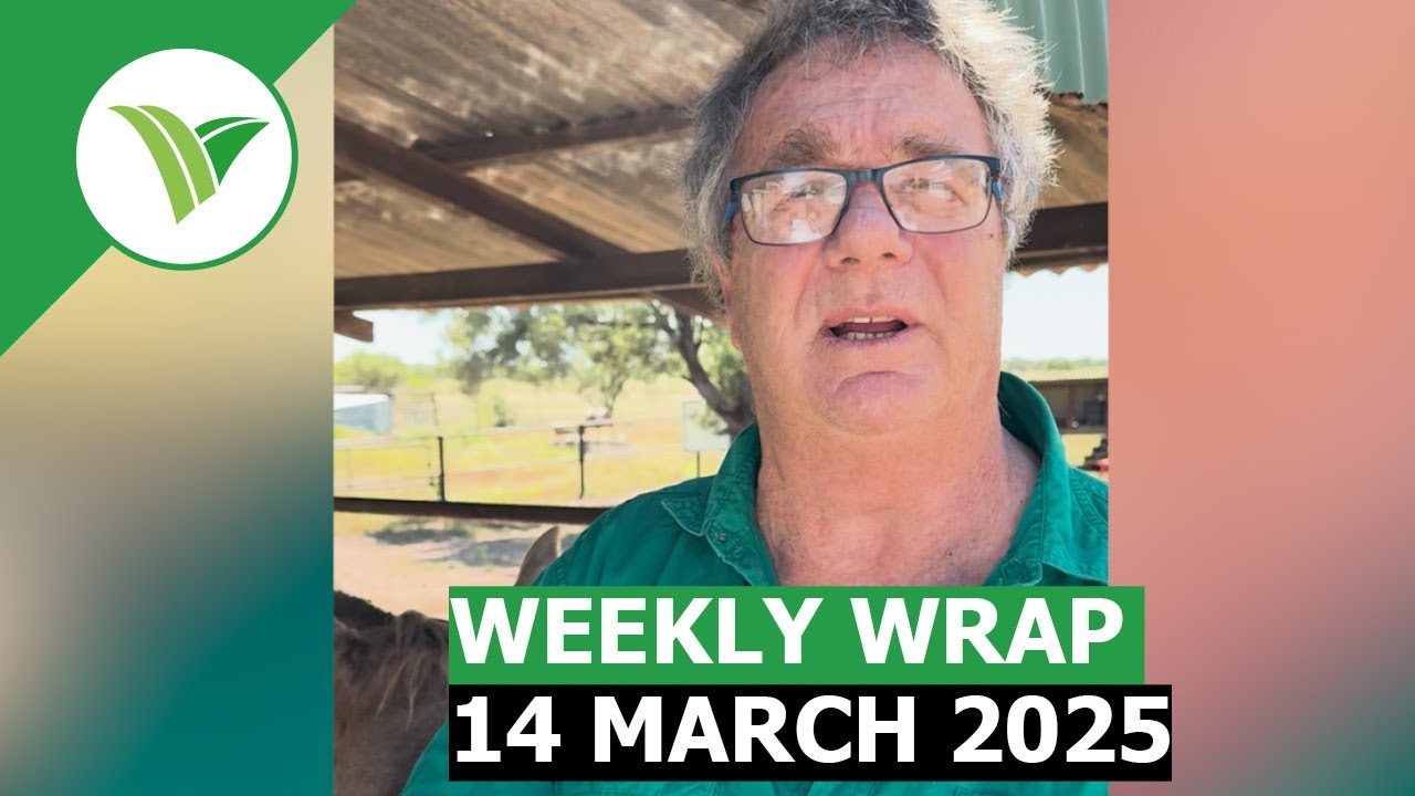 TasFarmers Weekly Wrap - 14 March 2025 - YouTube