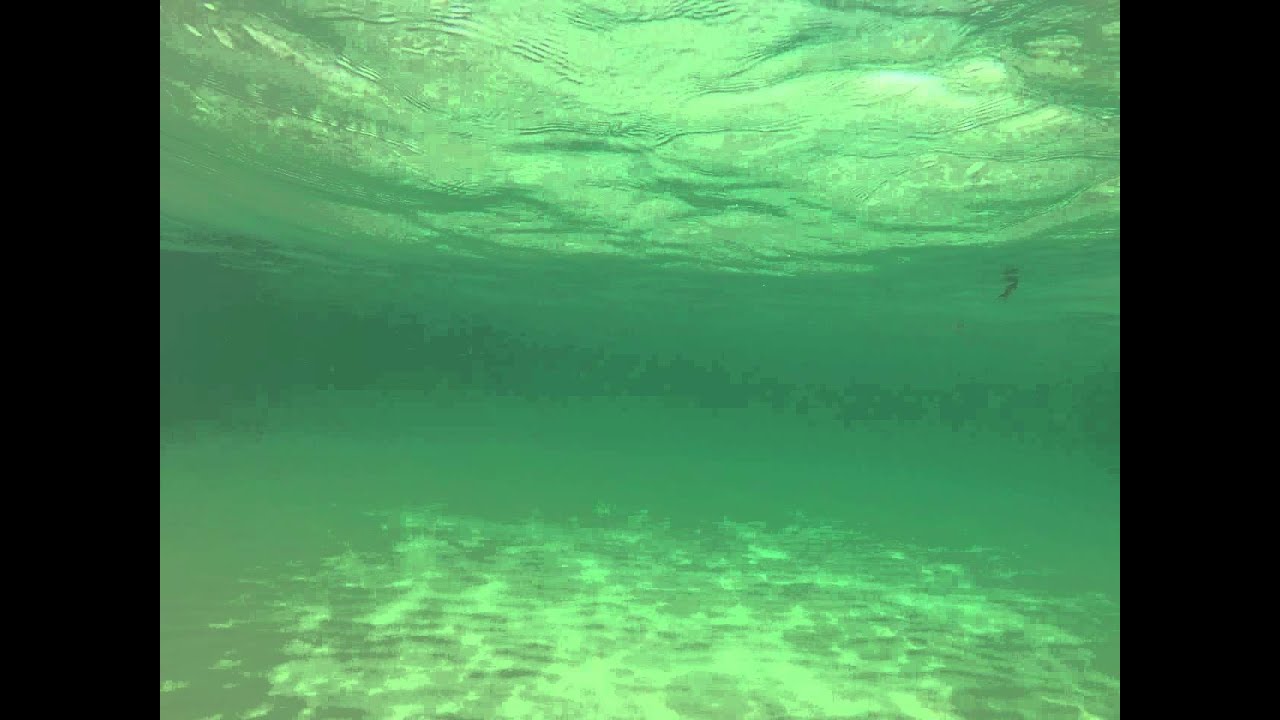 South Beach underwater with a GoPro - YouTube