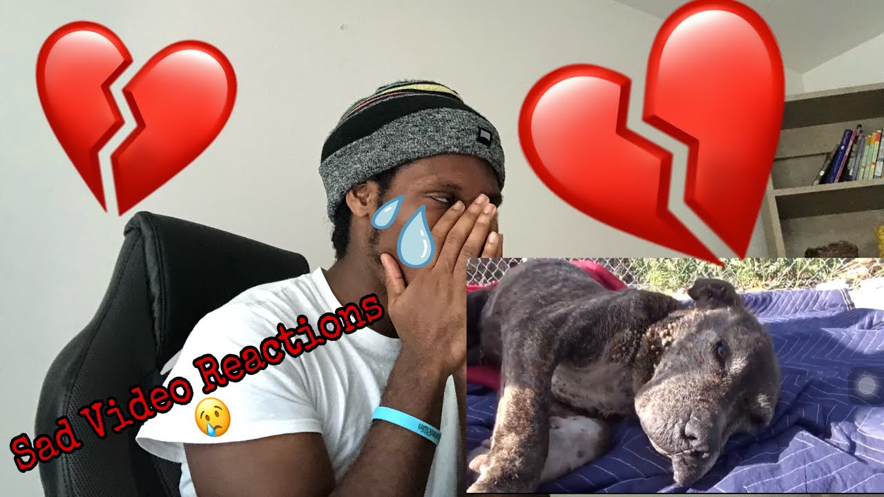 “SADDEST VIDEOS OF ALL-TIME” REACTIONS 💔 - YouTube