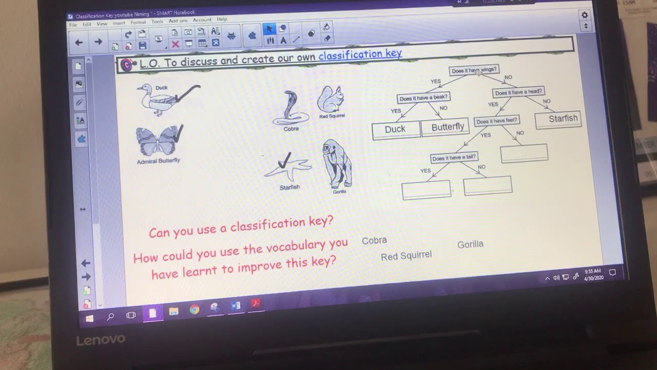 Year 6 Science - Classification Keys with Miss L - YouTube