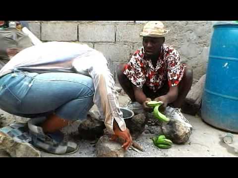 Begom And Dema Enpotans Manman 1