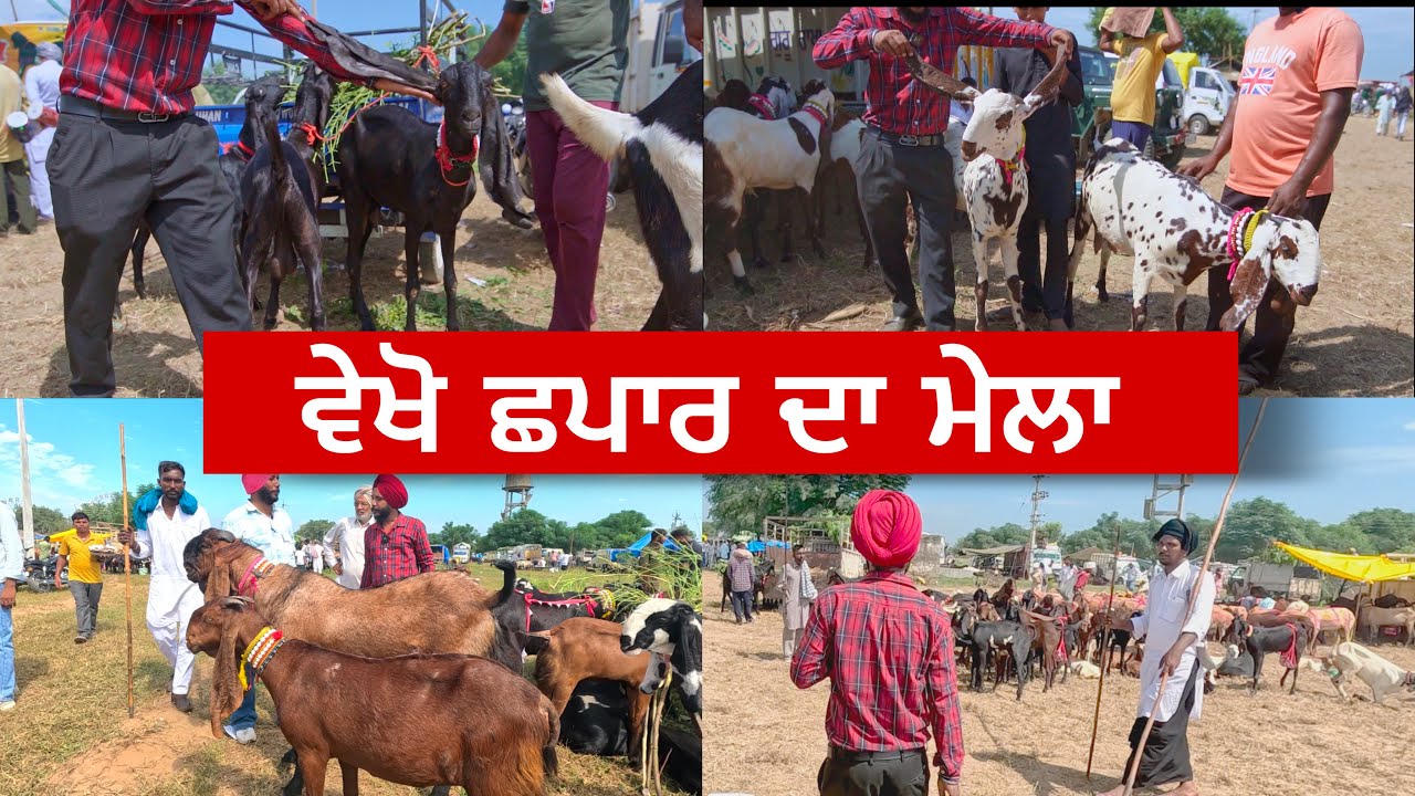 ਵੇਖੋ ਛਪਾਰ ਦਾ ਮੇਲਾ | Chapar da mela | punjab de mele #chapardamela # ...