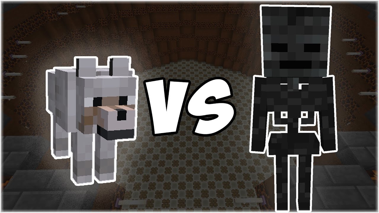 Wolf vs Wither Skeleton - Minecraft Mob Battle - YouTube