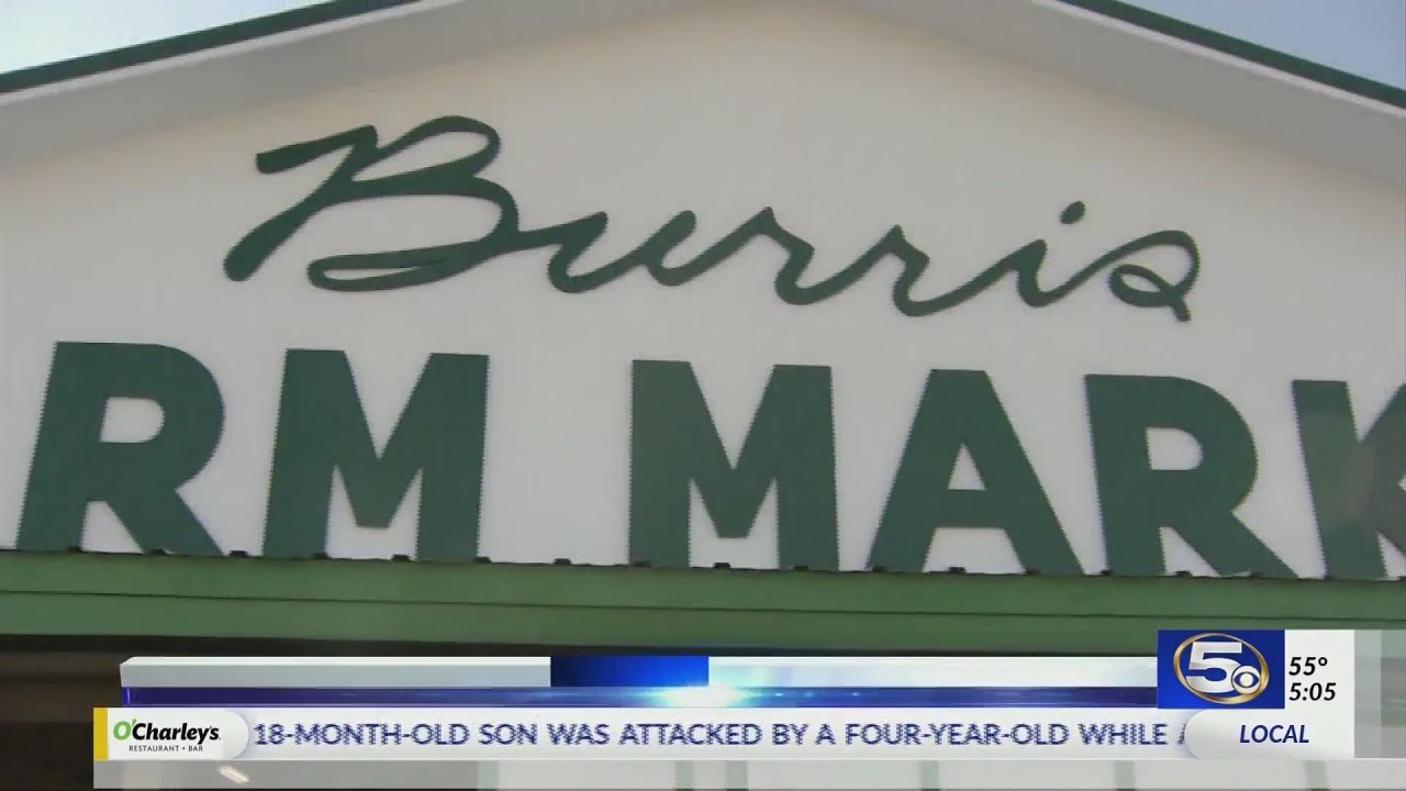 VIDEO: Burris Farm Market back in business in Loxley - YouTube